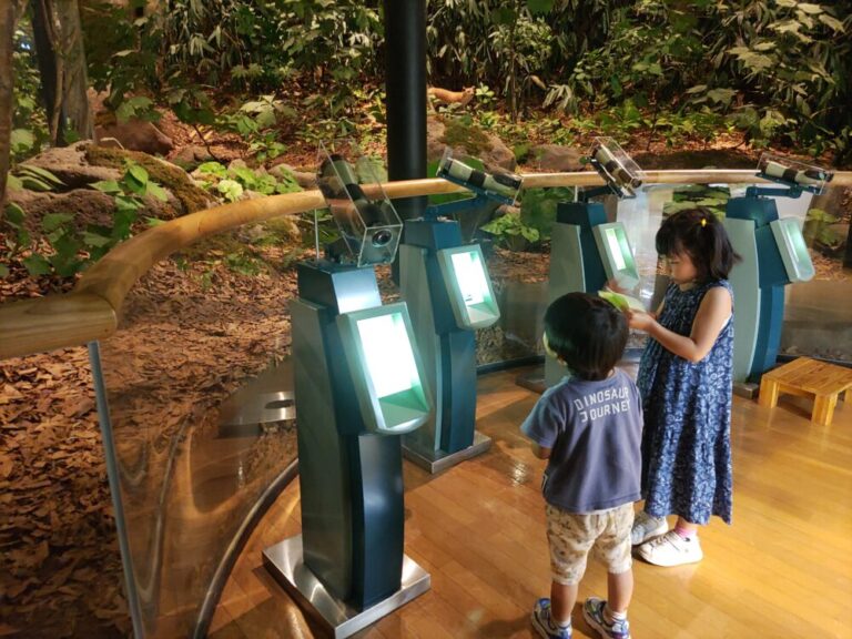 この夏は涼しい屋内で創造力を爆発させよう！「氷ノ山自然ふれあい館 響の森」でユニークなダンボルお面作り体験！ | とっとりずむ